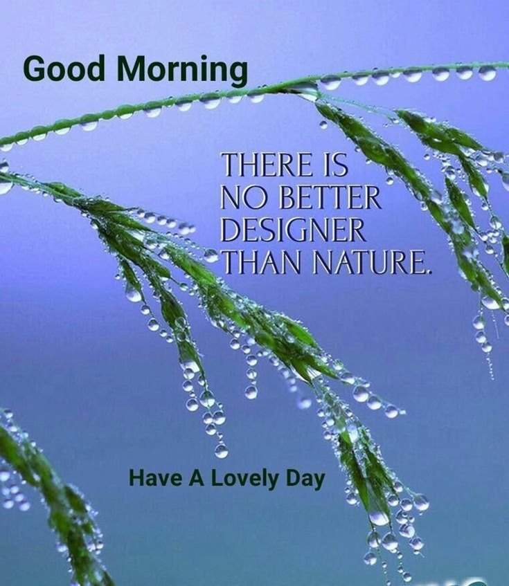70 Funny Good Morning Quotes With Images - SliControl.Com