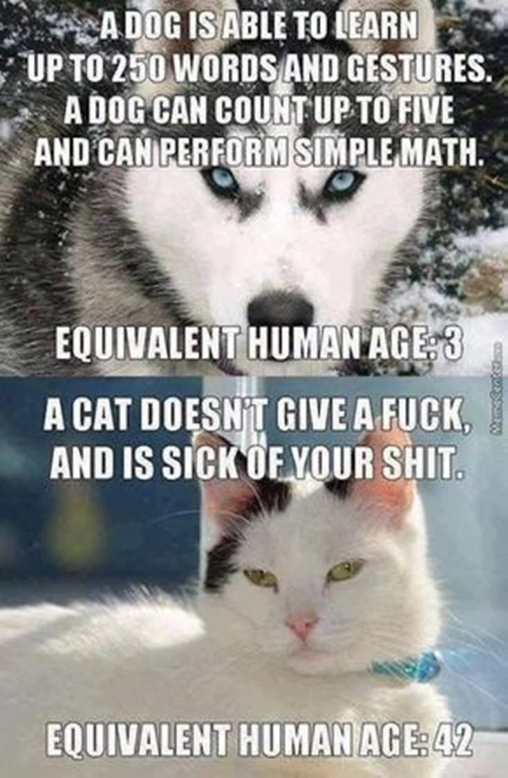 76 Hilarious Memes Guaranteed To Make You Laugh - SliControl.Com