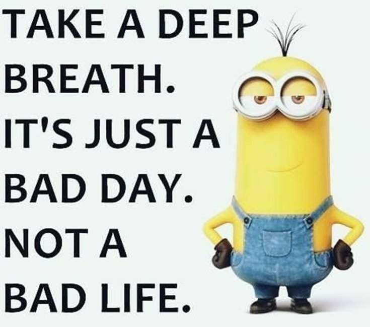 40 Funny Minions Quotes With Images Slicontrol Com