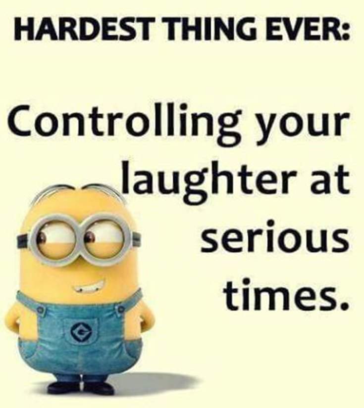 45 Funny Minions Quotes and Pics - SliControl.Com