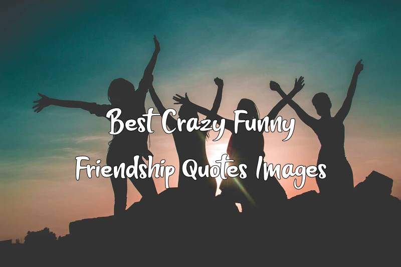 60 Best Crazy Funny Friendship Quotes Images - SliControl.Com