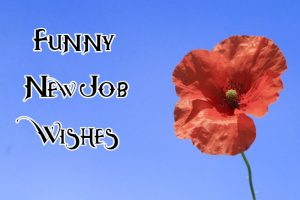 102 Funny New Job Wishes Messages And Pictures - What to Write ...