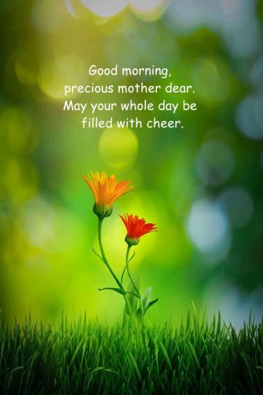 84 Sweet Good Morning Messages For Mom Good Morning Mother