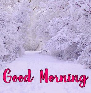 38 Amazing Winter Good Morning Images With Pictures - SliControl.Com ...