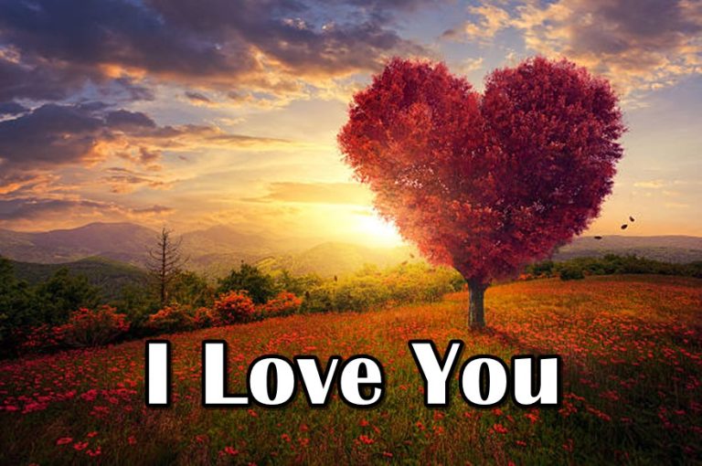 80 Most Romantic I Love You Images with Quotes - SliControl.Com ...