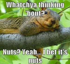 70 Best Funny Inappropriate Memes - A Dose Of Emotionally Offensive ...